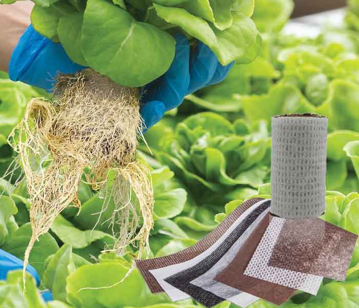 Plant Propagation Systems | Crop Type | Hydroponic