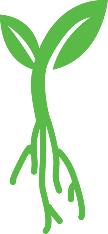 Plant Propagation Systems | Grow Smarter With Ellepot